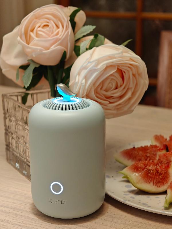 General – Rootsense Technology